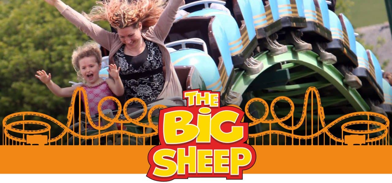 Family Rides - The Big Sheep