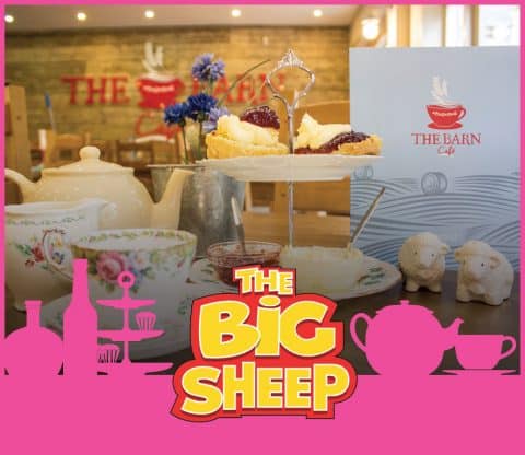 The Big Sheep - The best family day out in North Devon!