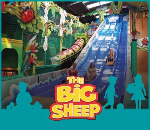 The Big Sheep - The best family day out in North Devon!
