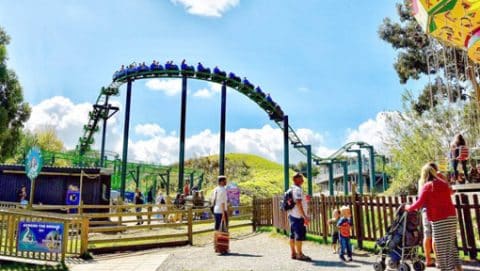 Family Rides - The Big Sheep