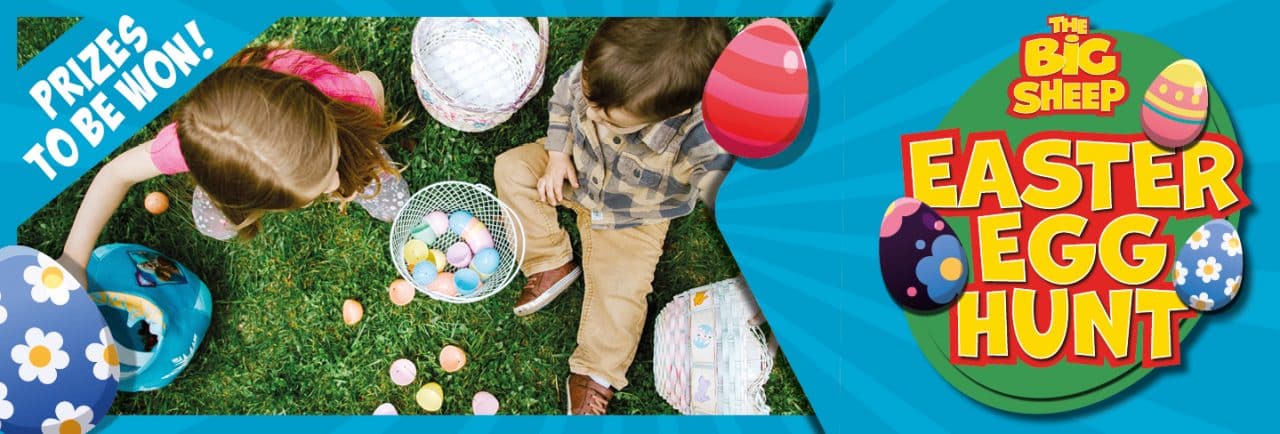 The Big Sheep - The best family day out in North Devon!