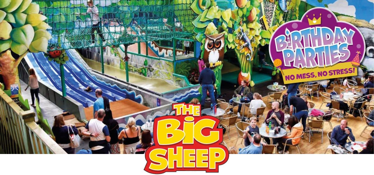 Birthday Parties - The Big Sheep