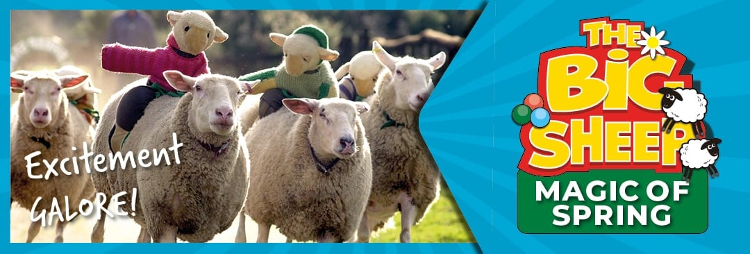 The Big Sheep - The best family day out in North Devon!