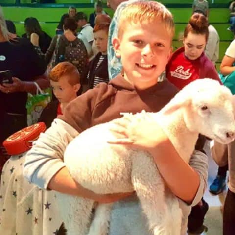 Farm Attractions - The Big Sheep - North Devon