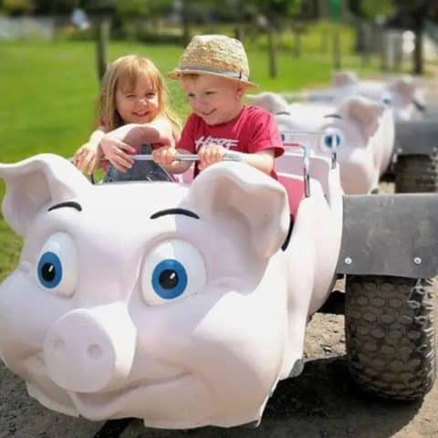 Family Rides - The Big Sheep