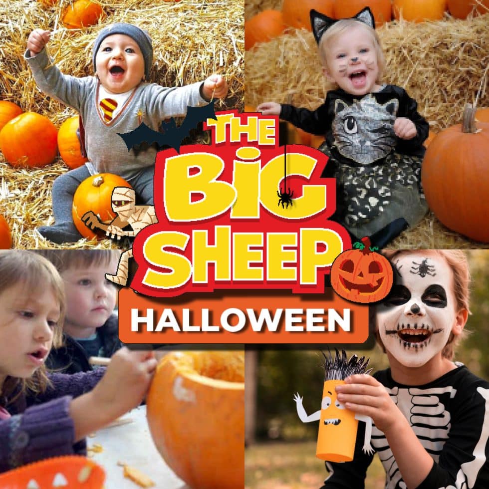 Events & Gigs - The Big Sheep