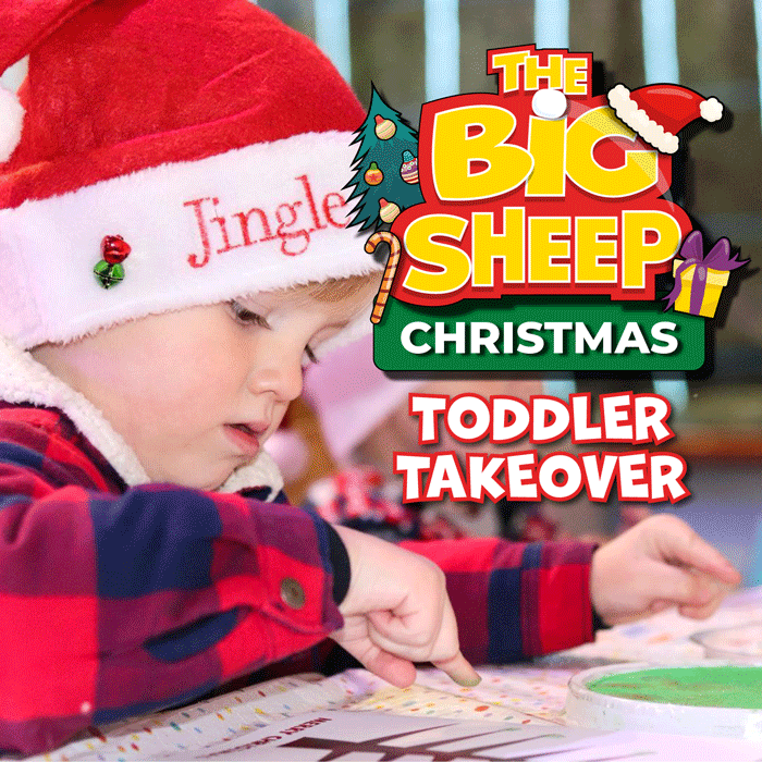 Events & Gigs - The Big Sheep