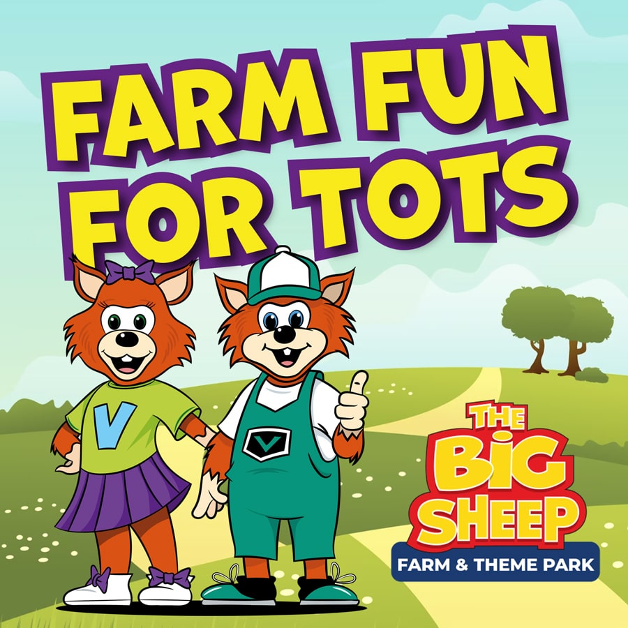 Events & Gigs - The Big Sheep