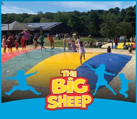 The Big Sheep - The best family day out in North Devon!