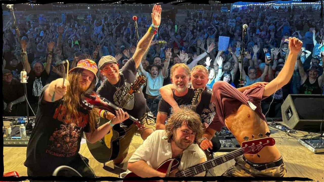 Festivals - The Big Sheep